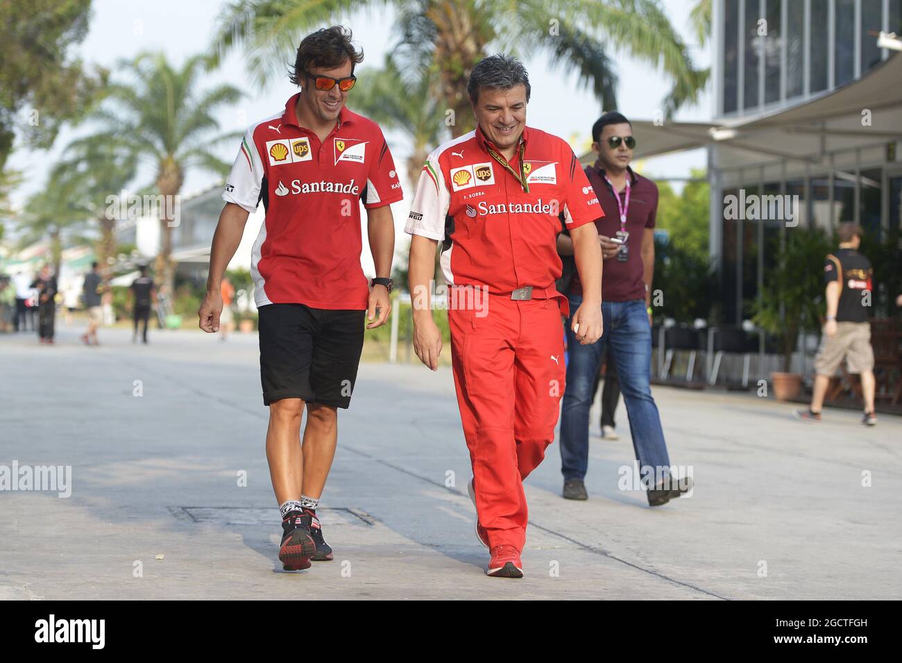 Ferrari physio hi-res stock photography and images - Alamy