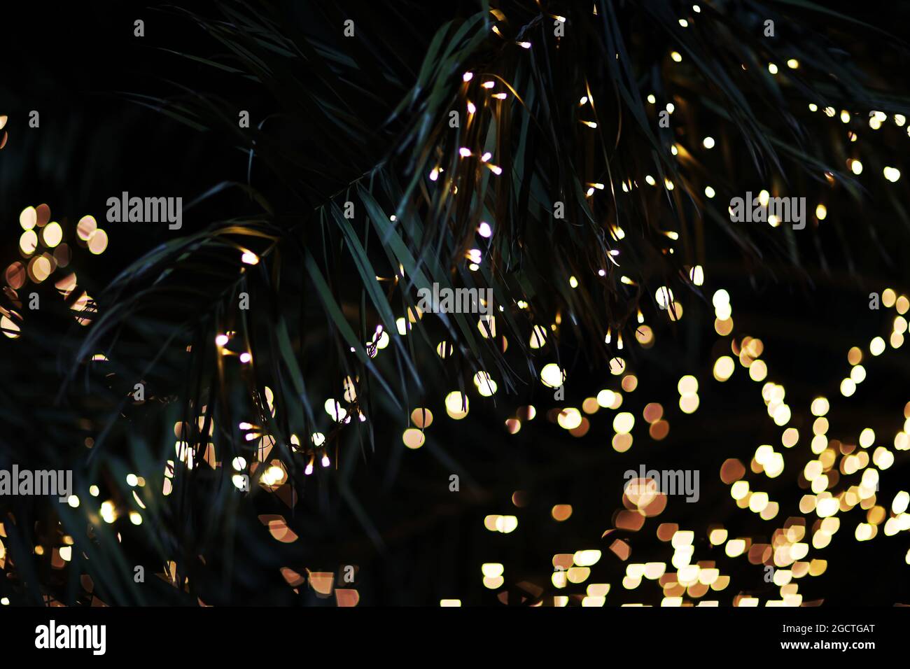 Scenic paddock at night time. Bahrain Grand Prix, Friday 4th April 2014 ...