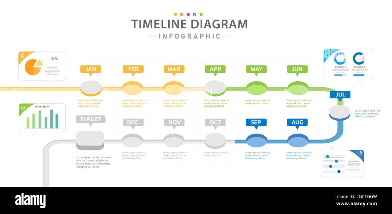 Infographic template for business. 12 Months modern Timeline diagram ...