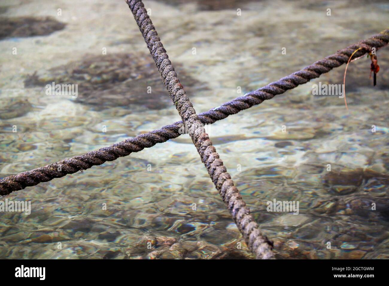 ropes crossed over water on santo island in vanuatu Stock Photo - Alamy