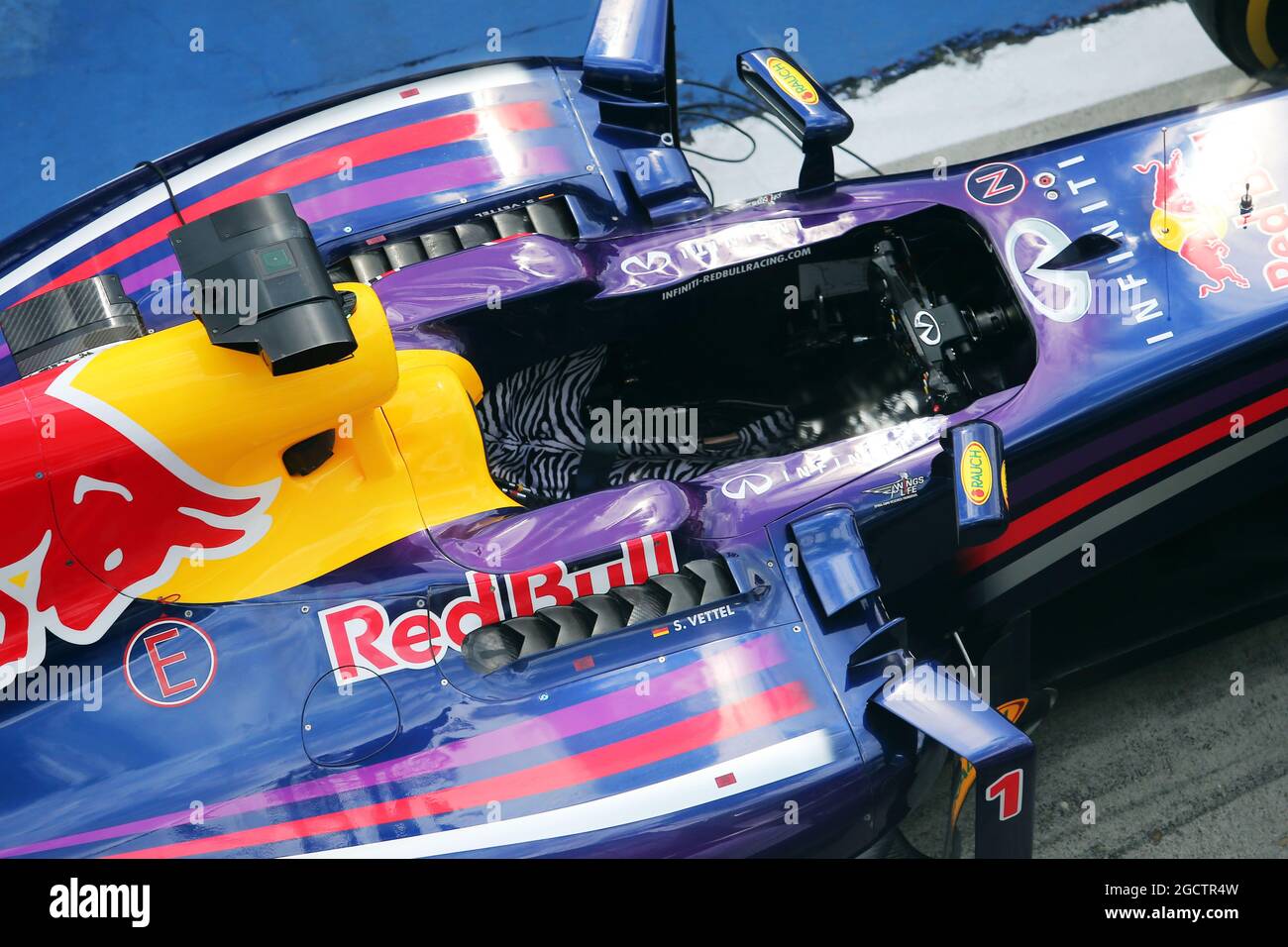 Red bull racing in parc ferme leopard print cockpit seat hi-res stock ...