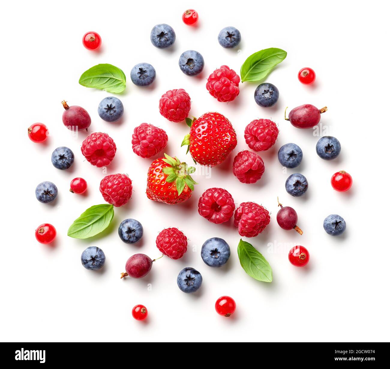 composition of fresh berries and green leaves isolated on white ...