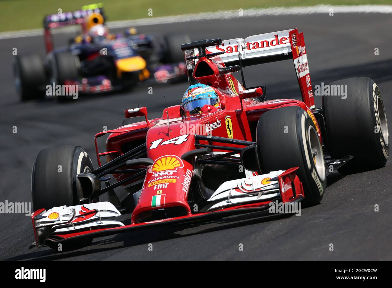 Fernando Alonso (ESP) Ferrari F14-T. Brazilian Grand Prix, Sunday 9th ...