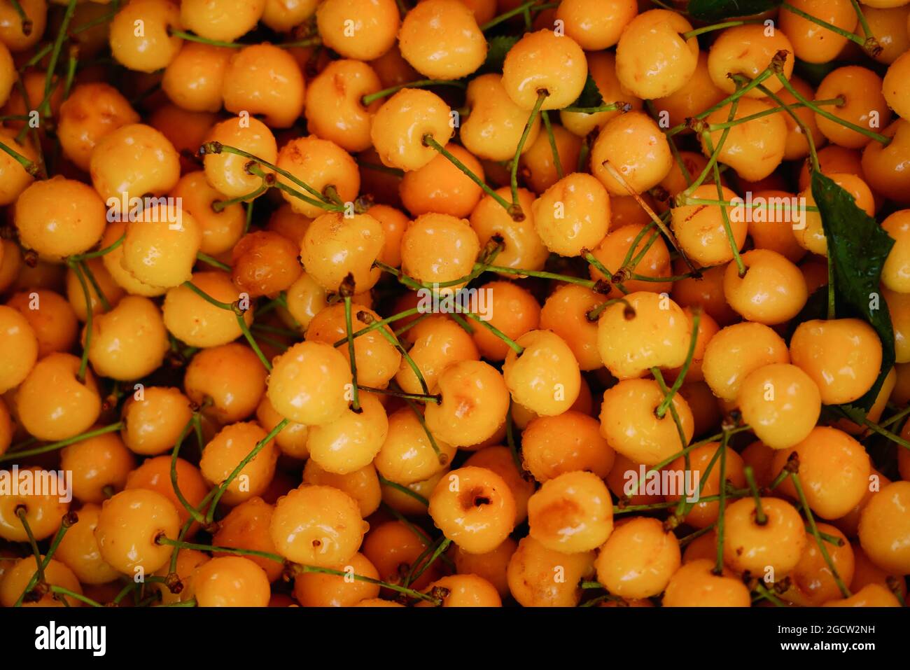 background in the form of ripe cherries Stock Photo - Alamy