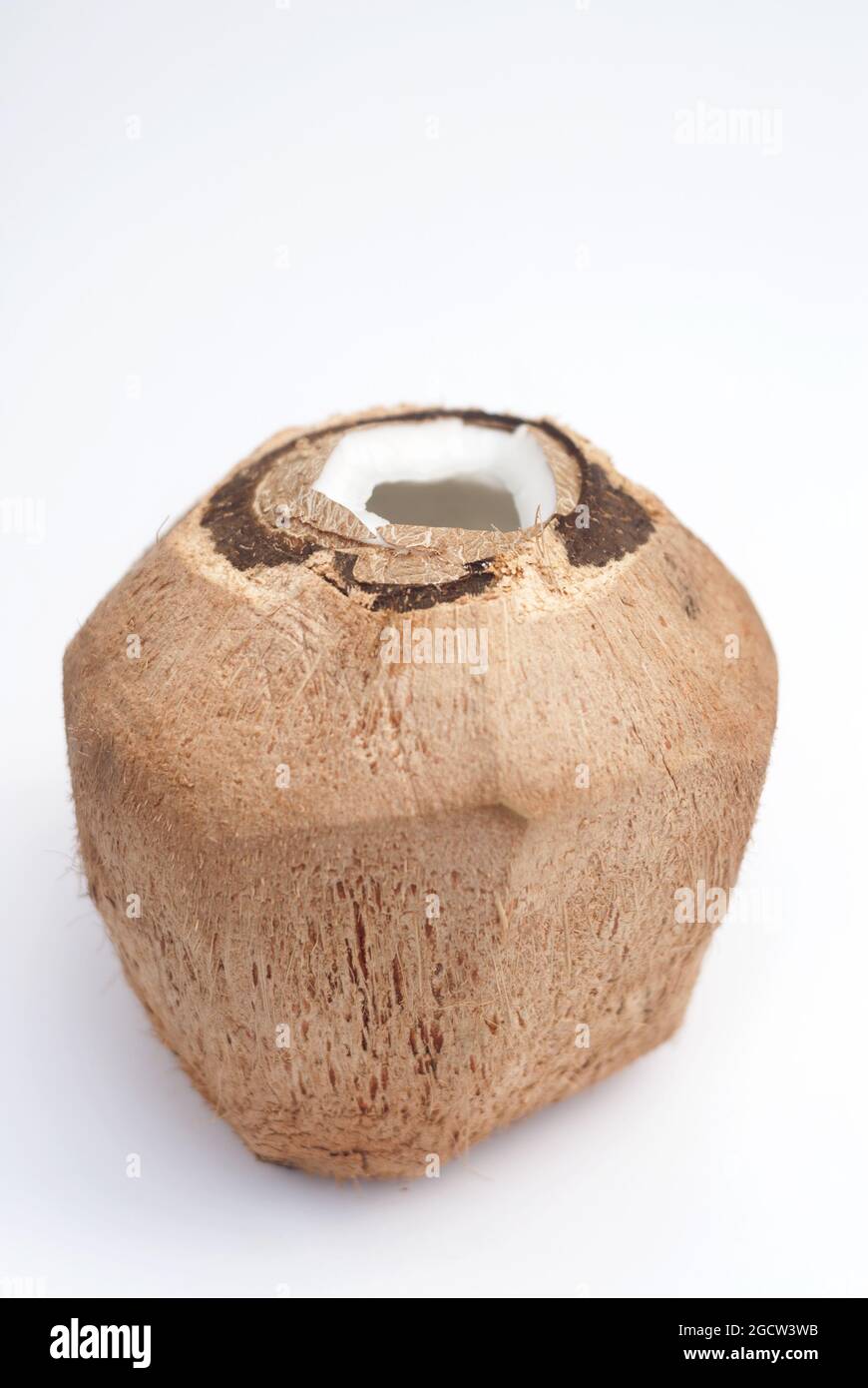 Dry coconut in studio hi-res stock photography and images - Alamy