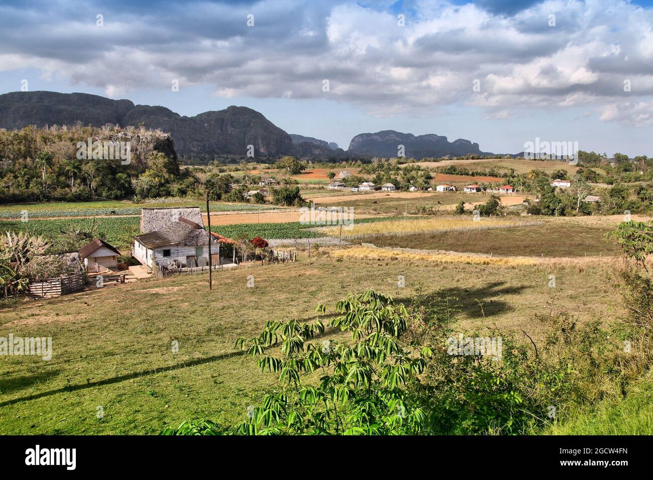 Cuba landscape - mogotes in Vinales National Park. Cuban countryside ...