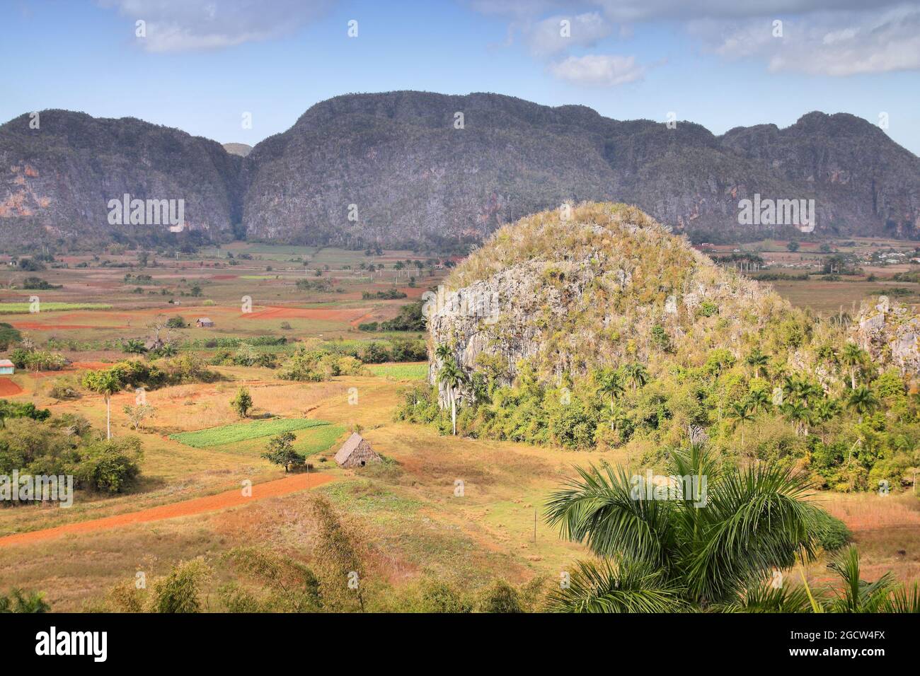Cuba landscape - mogotes karstic rocks in Vinales National Park. UNESCO ...