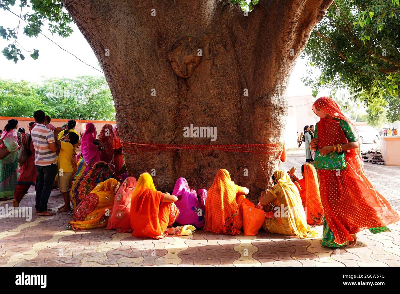 Kalpavriksha hi-res stock photography and images - Alamy