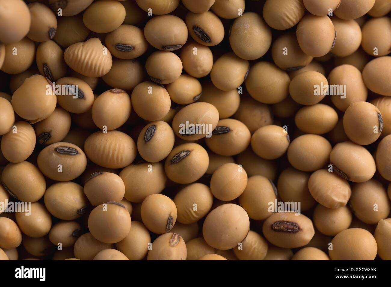 Background from soy grains close up and macro, top view, healthy food ...