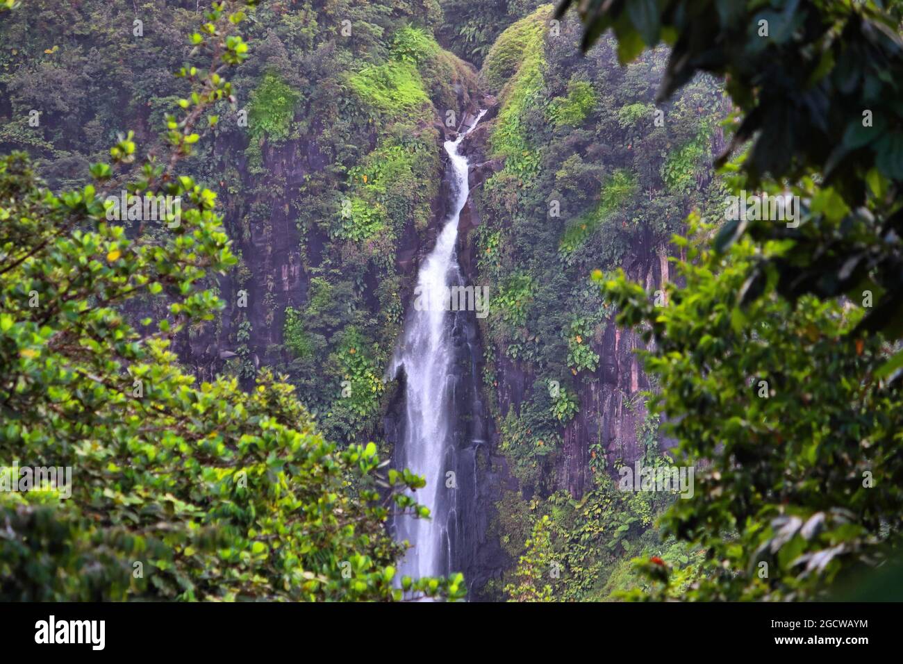 Waterfall in Guadeloupe Caribbean island. Chutes du Carbet, waterfall ...