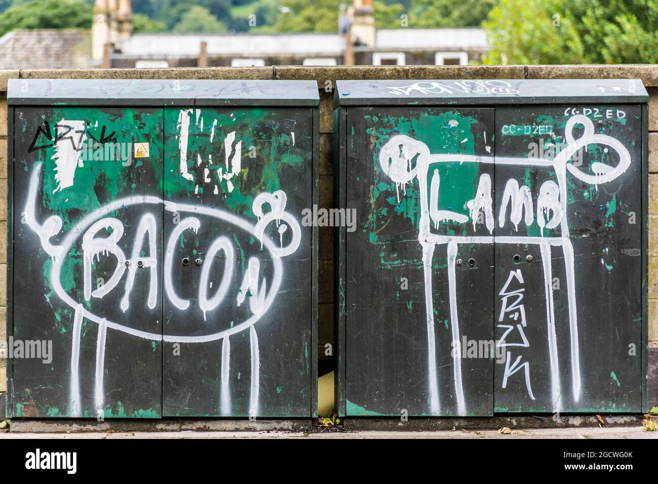 Graffiti showing characatures of lamb and pork bacon. Bath Spa ...