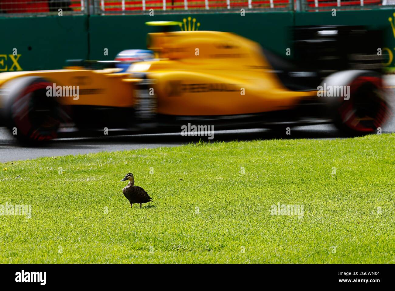 Renault sport f1 team rs16 passes a duck hi-res stock photography and ...