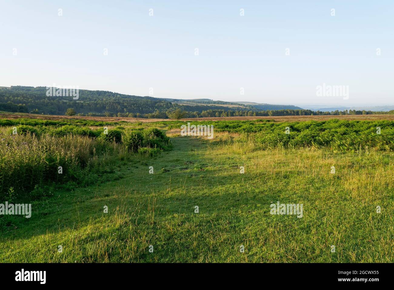 View across Lawrence Field , Derbyshire, in the early morning summer ...