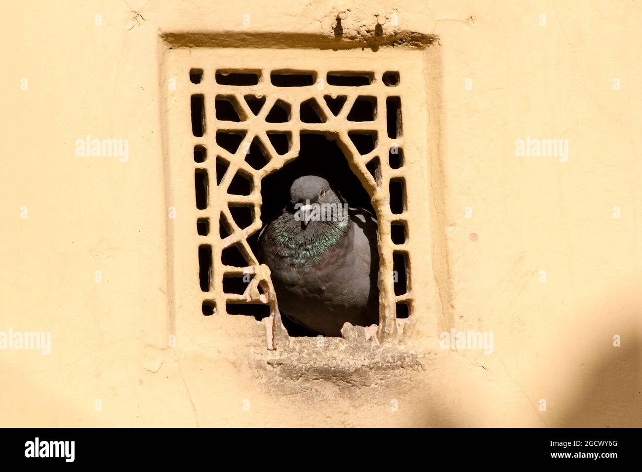 Pigeon hole window hi-res stock photography and images - Alamy