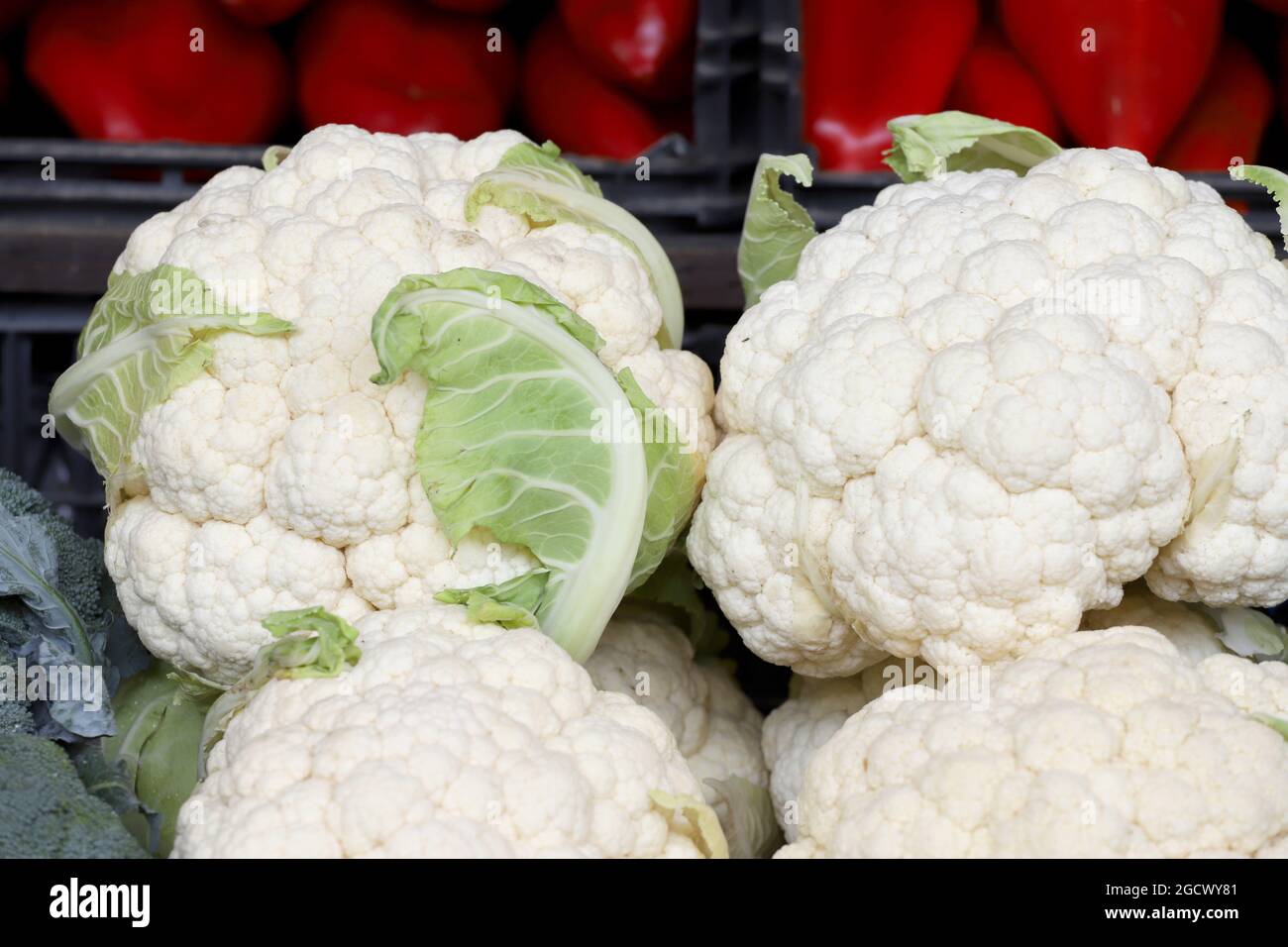 Heads of white Cauliflower Stock Photo - Alamy