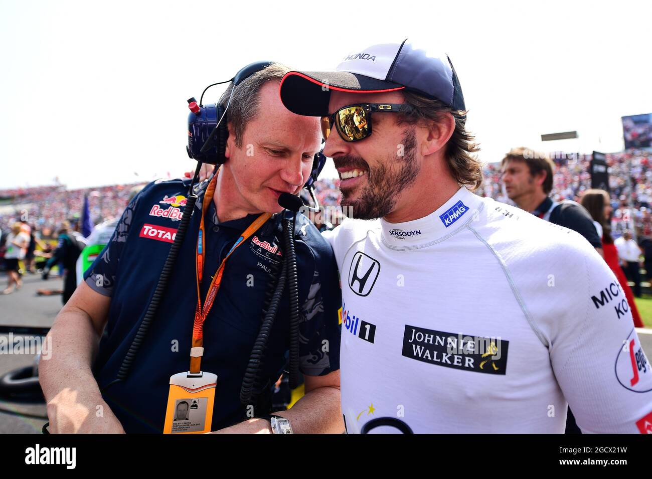Red bull racing chief engineer fernando alonso hi-res stock photography ...