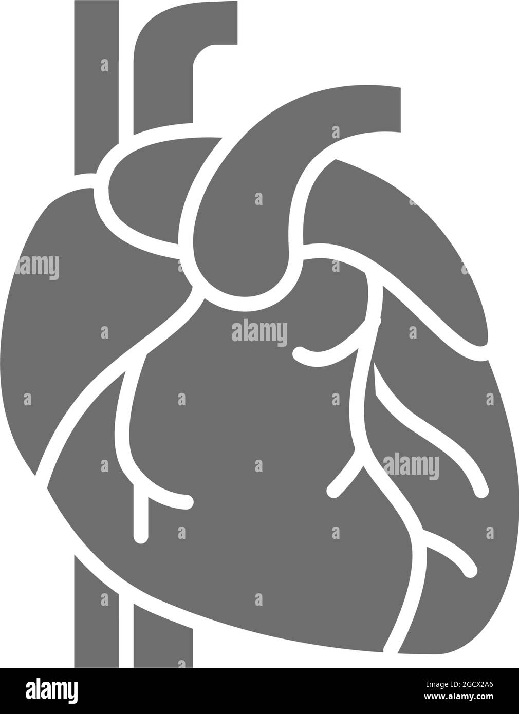 Heart, artery, vein, human organ grey icon Stock Vector Image & Art - Alamy