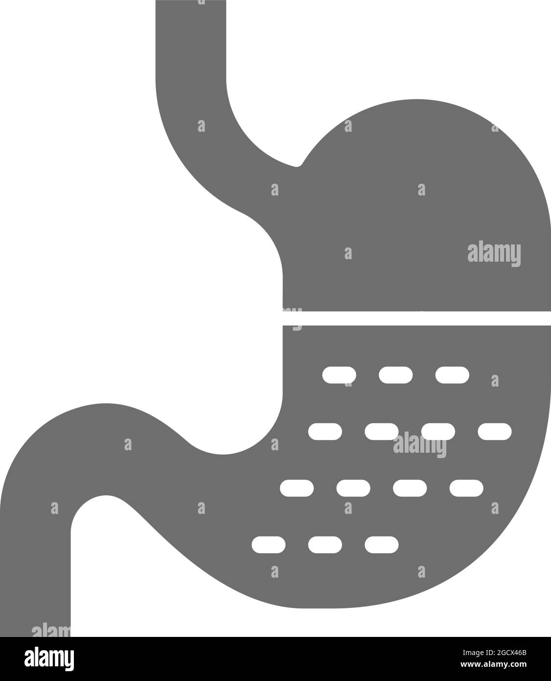 Stomach, human organ grey icon. Isolated on white background Stock ...