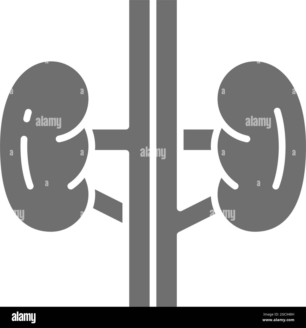 Kidneys, buds, human organ, urology grey icon Stock Vector Image & Art ...