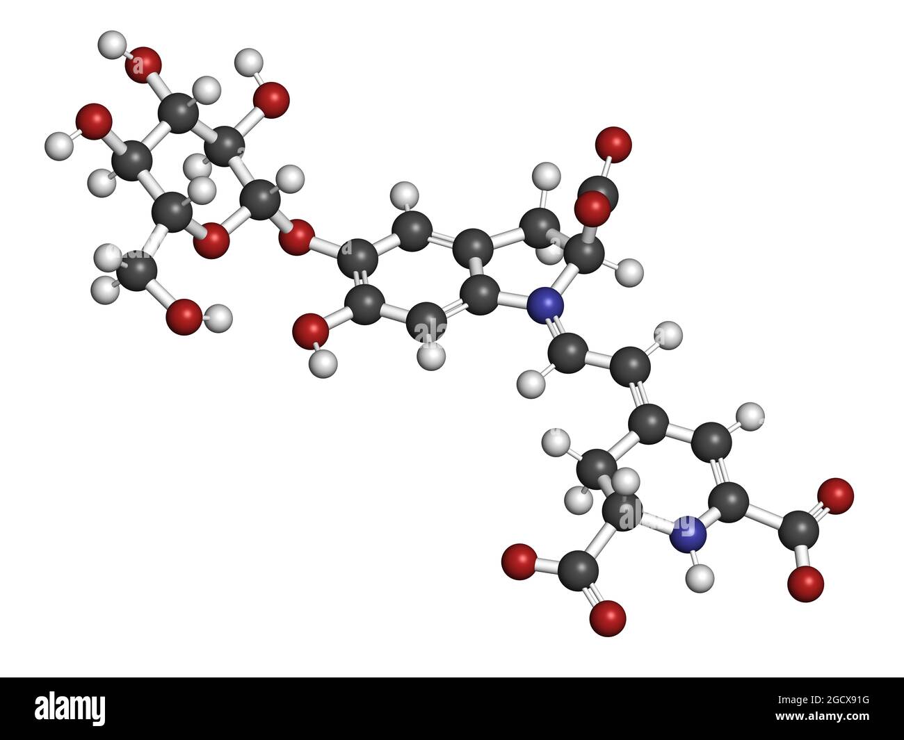 Betanin red plant pigment molecule hi-res stock photography and images ...
