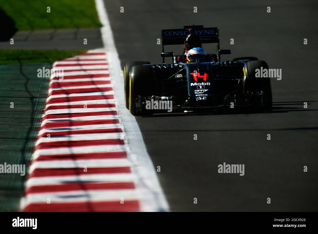 Fernando Alonso (ESP) McLaren MP4-31. Mexican Grand Prix, Saturday 29th ...