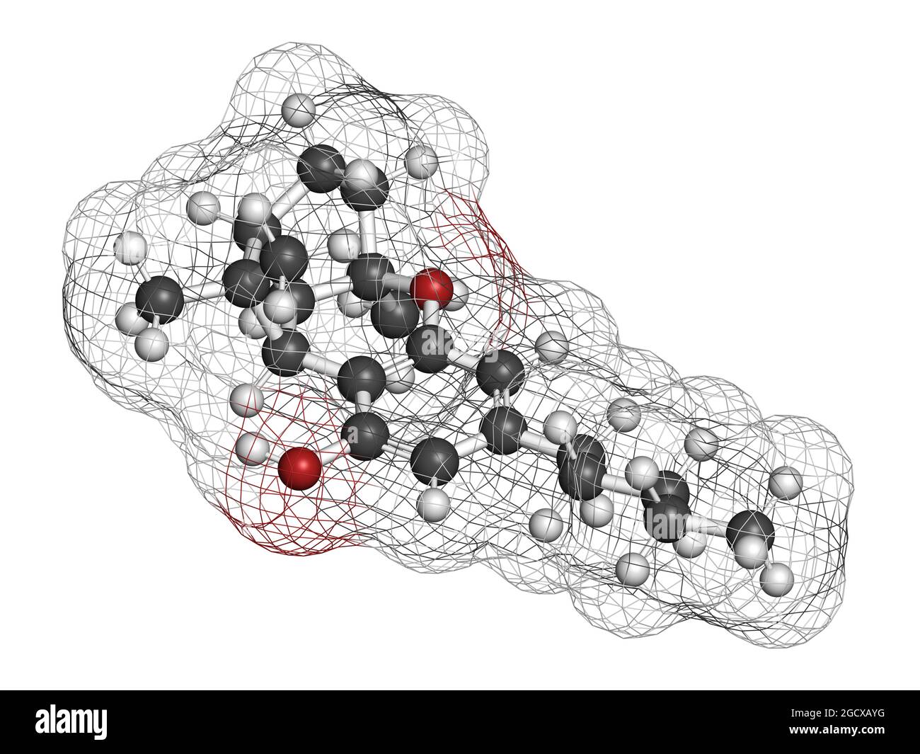 Cbl High Resolution Stock Photography and Images - Alamy