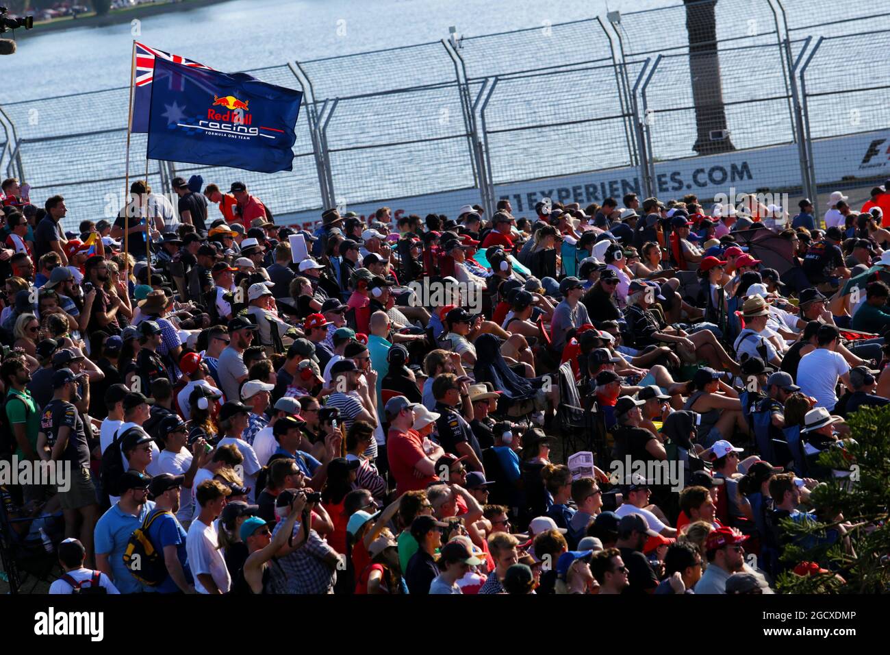 Fans a red bull racing flag for daniel ricciardo hi-res stock ...