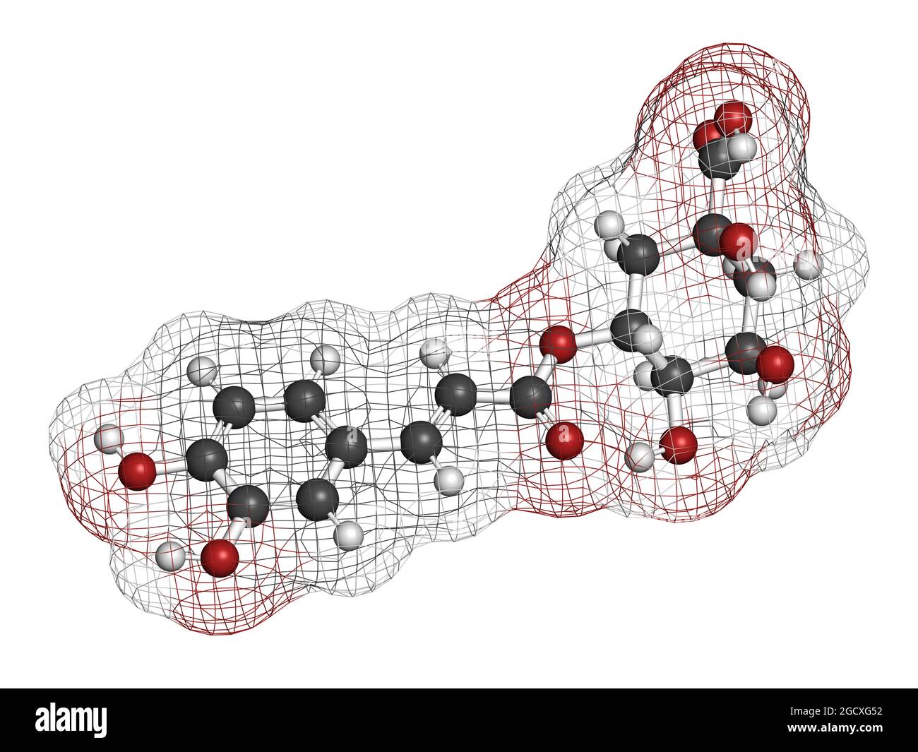 Chlorogenic acid herbal molecule. 3D rendering Stock Photo - Alamy