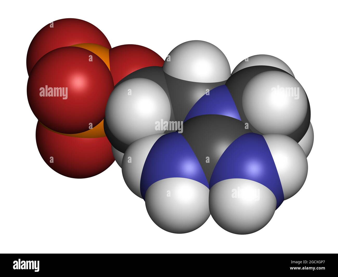 Creatinol-O-Phosphate or COP molecule. 3D rendering Stock Photo - Alamy