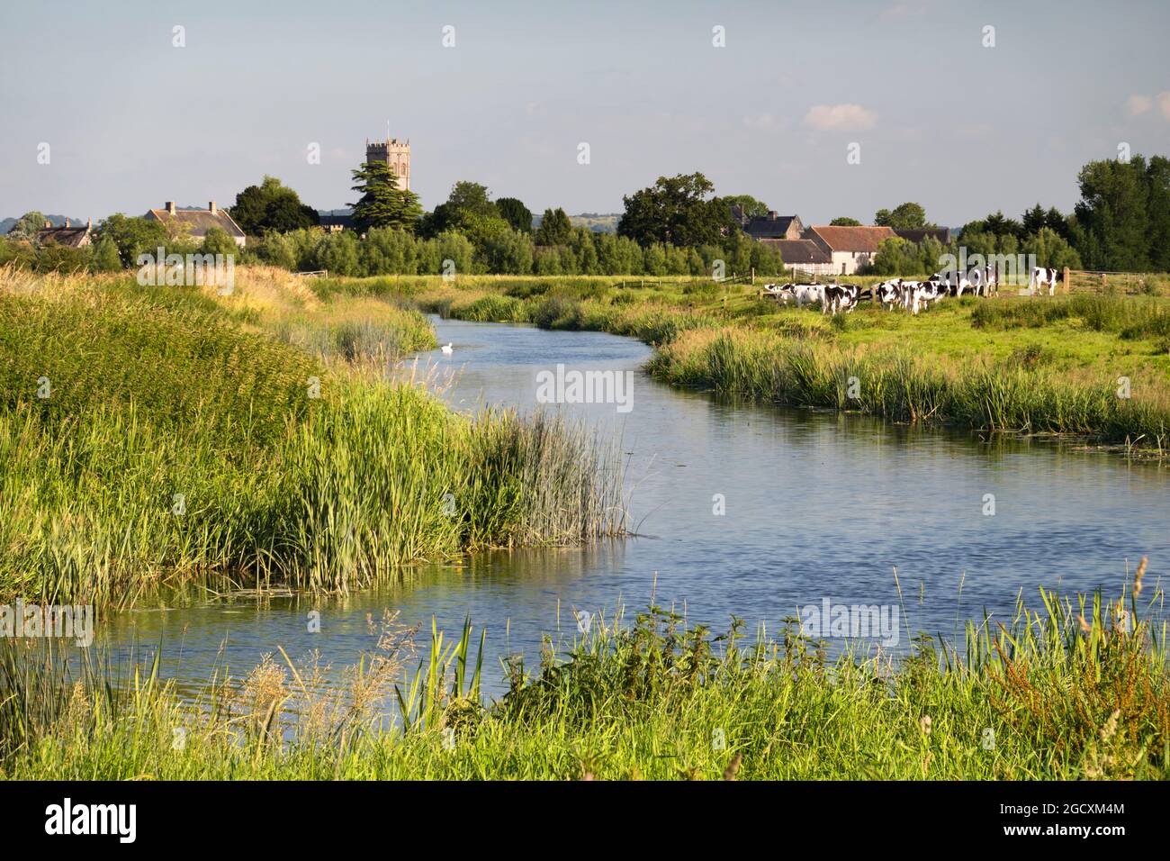 Muchelney abbey flood hi-res stock photography and images - Alamy