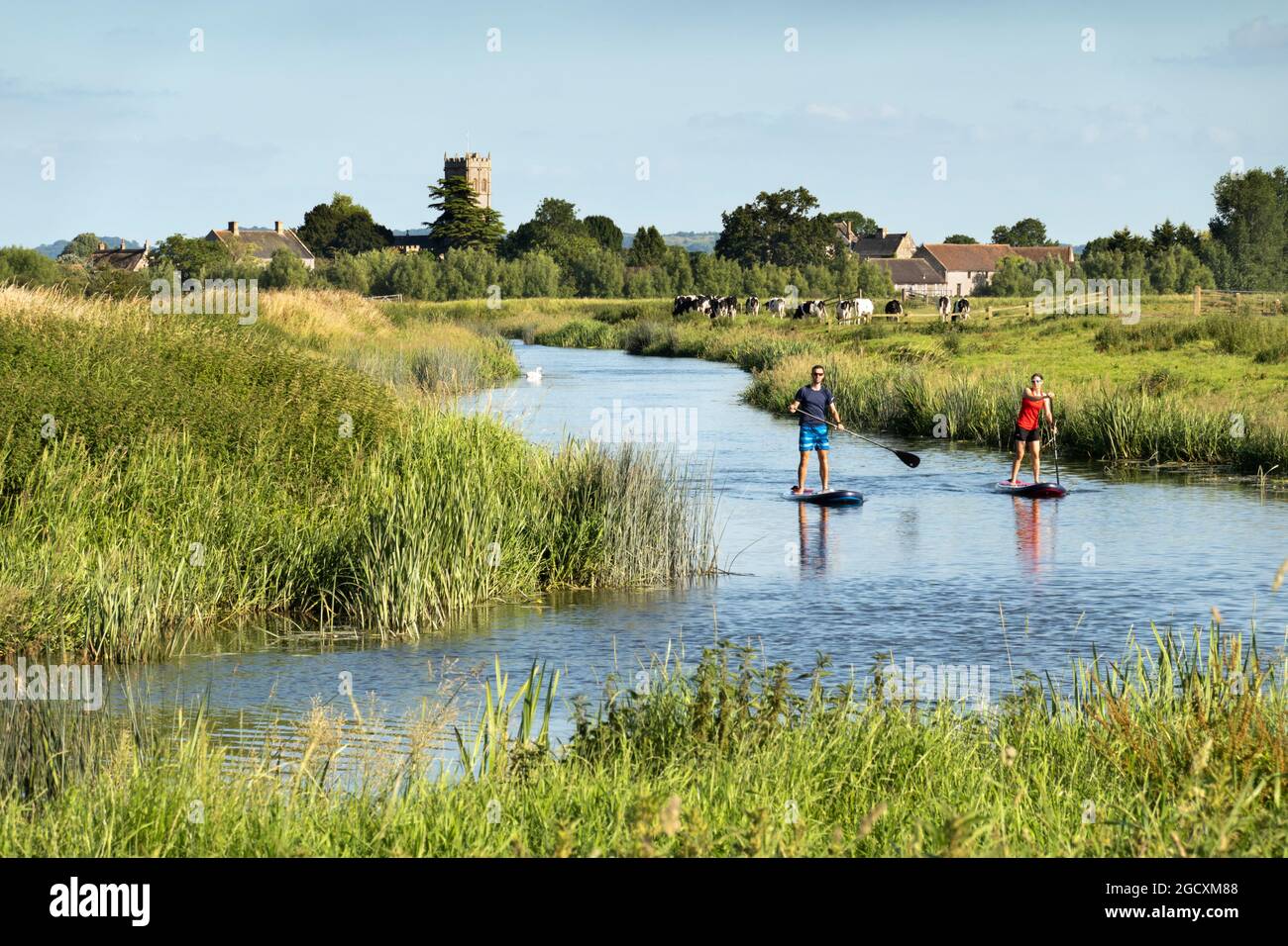 Paddle boarders on the River Parrett and Muchelney Abbey behind ...