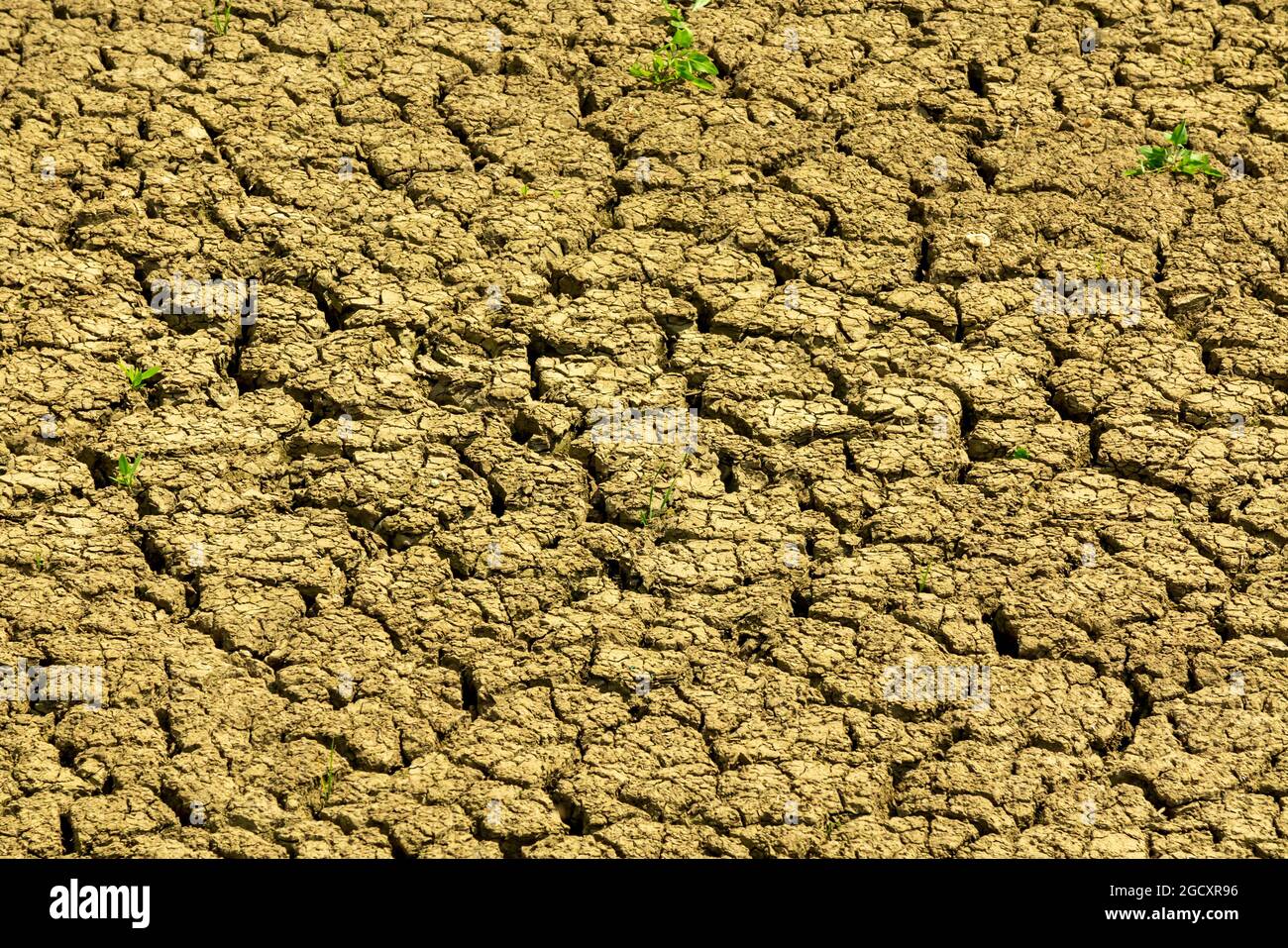 Cracking ground hi-res stock photography and images - Alamy