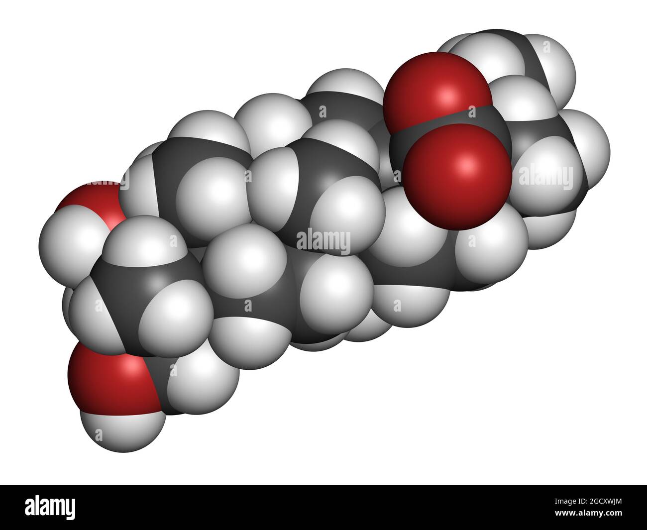 Hederagenin common ivy molecule. 3D rendering Stock Photo - Alamy