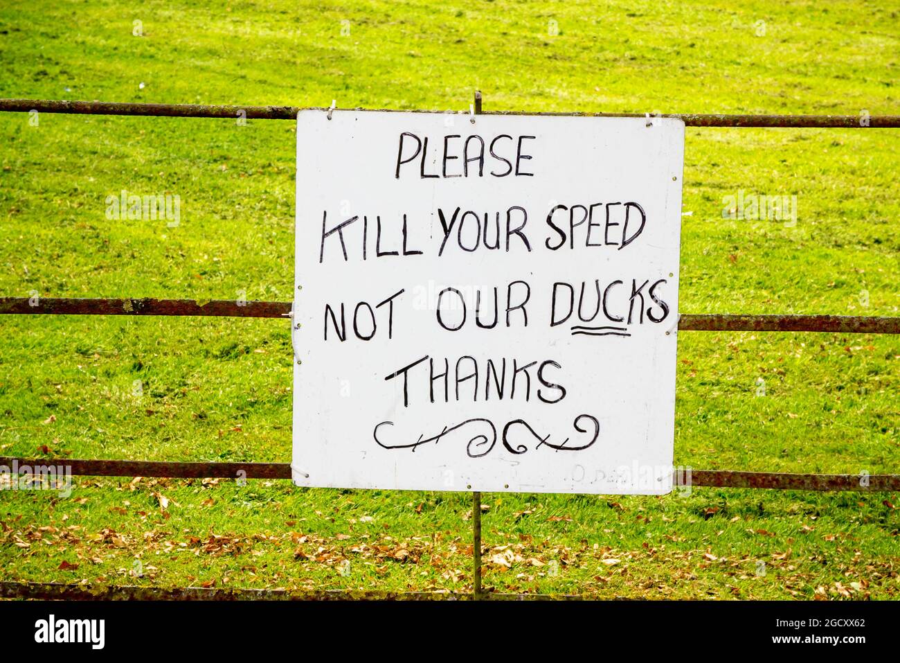 Please Kill Your Speed Not Our Ducks Thanks hand made sign to warn ...