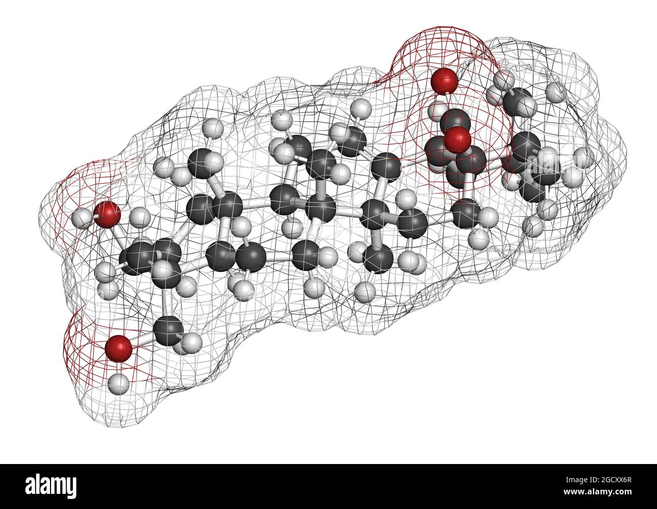 Hederagenin common ivy molecule. 3D rendering Stock Photo - Alamy