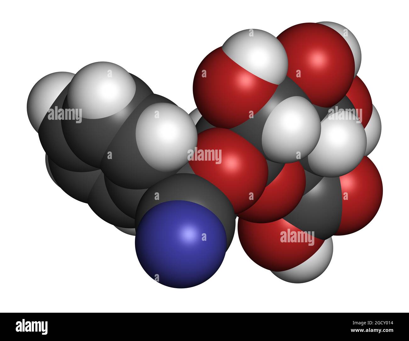 Laetrile molecule. Derivative of amygdalin. Used in quack cancer ...