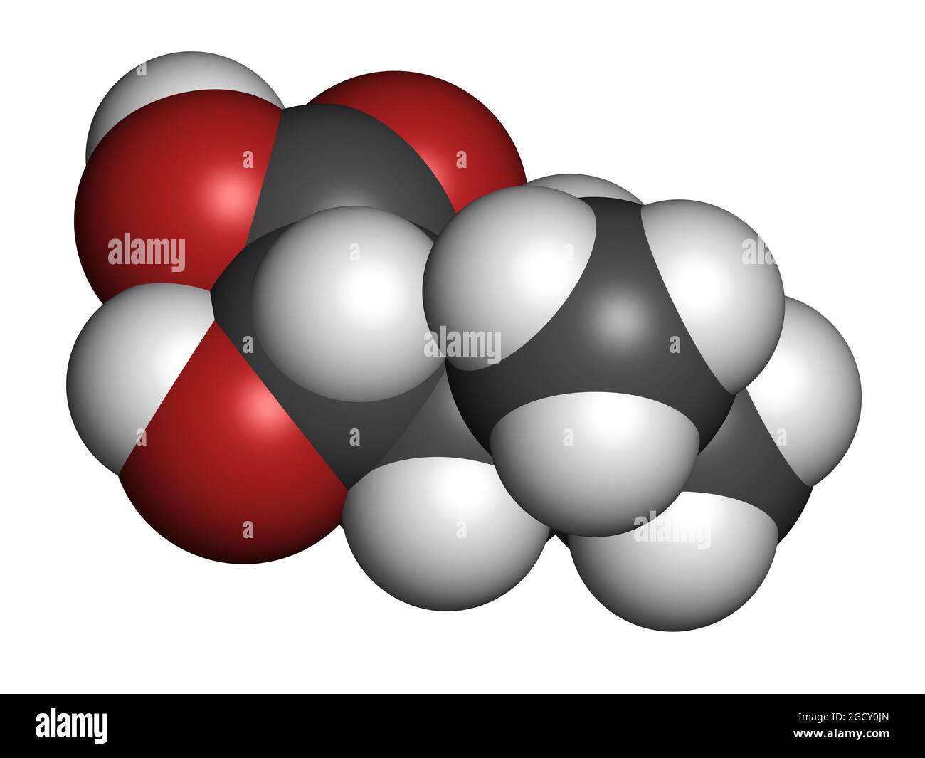 Leucic acid hi-res stock photography and images - Alamy