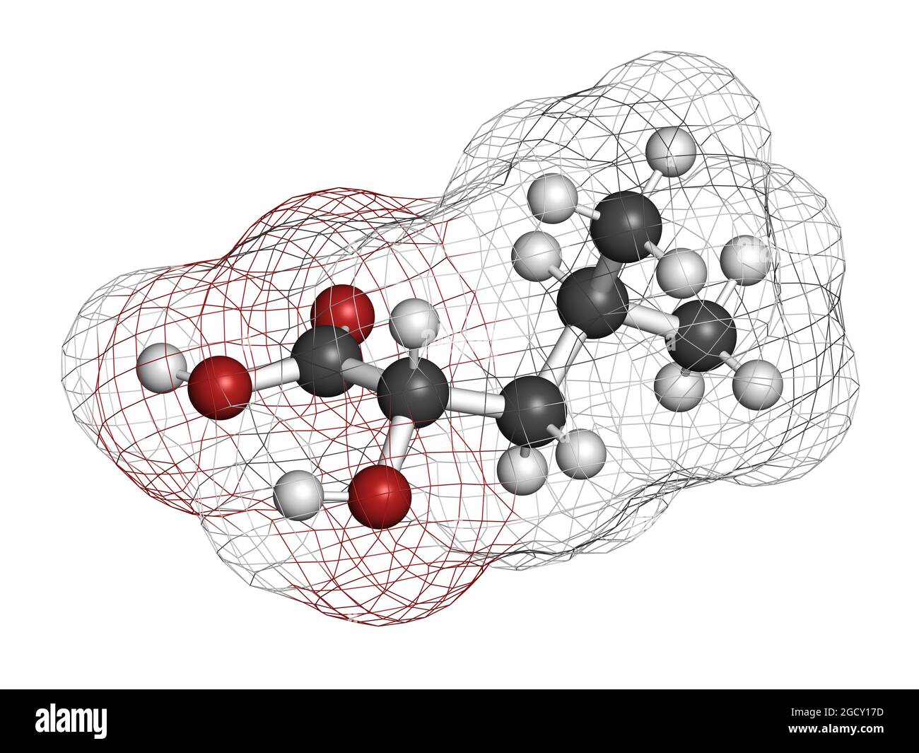 Leucic acid hi-res stock photography and images - Alamy