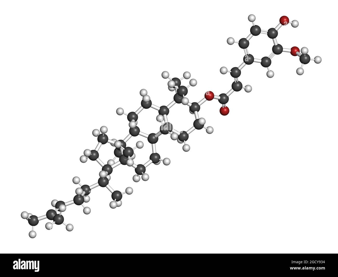 Cycloartenyl ferulate or oryzanol A molecule. Major component of gamma ...