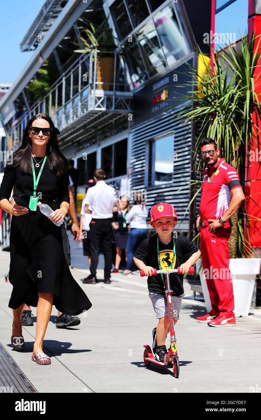 Mother robin hi-res stock photography and images - Alamy