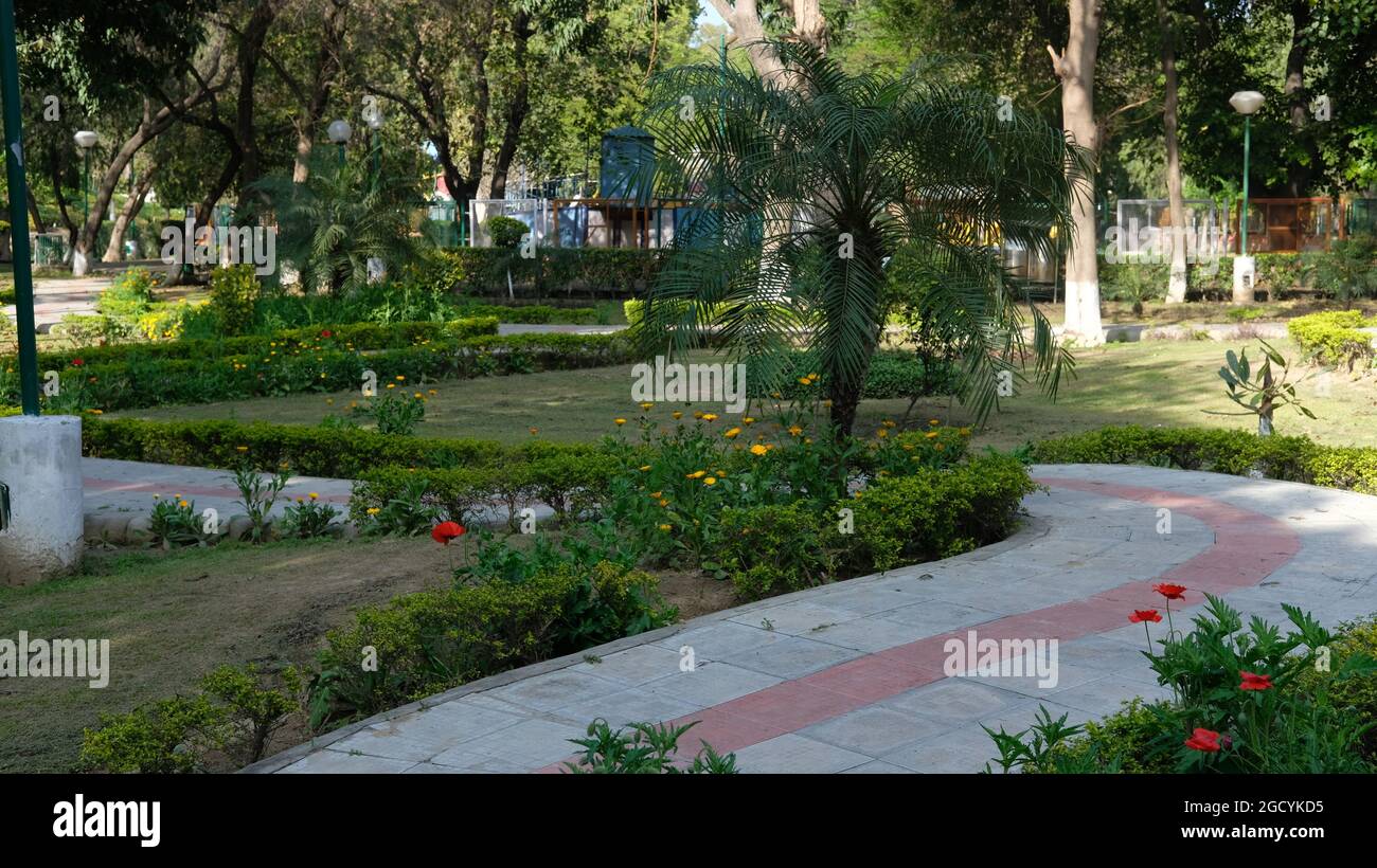 Tree green grass along hi-res stock photography and images - Alamy