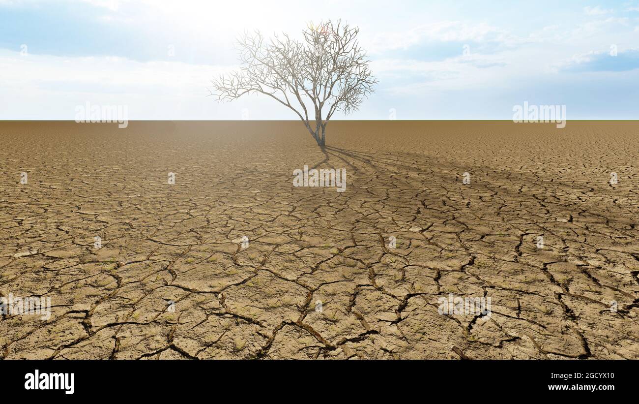 Concept or conceptual desert landscape with a parched tree as a ...