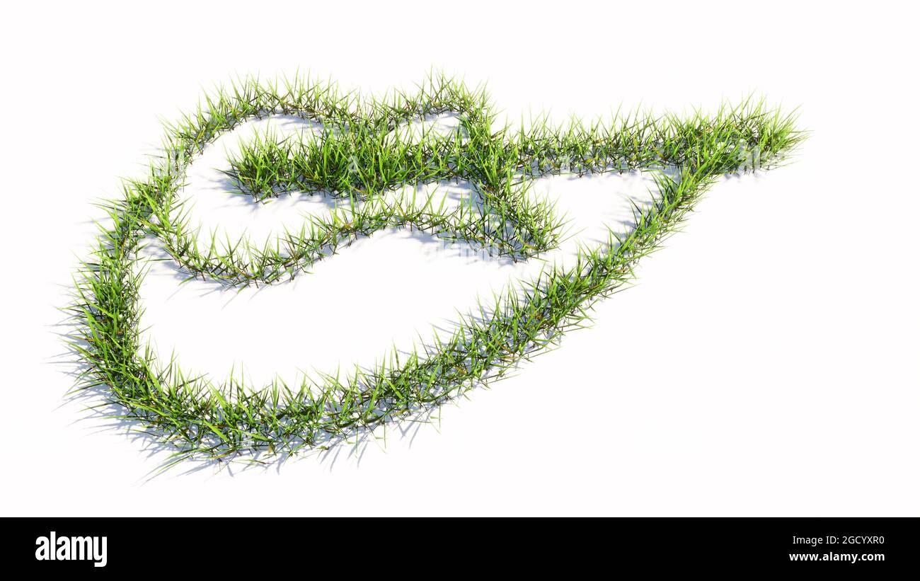 Concept or conceptual green summer lawn grass isolated on white ...