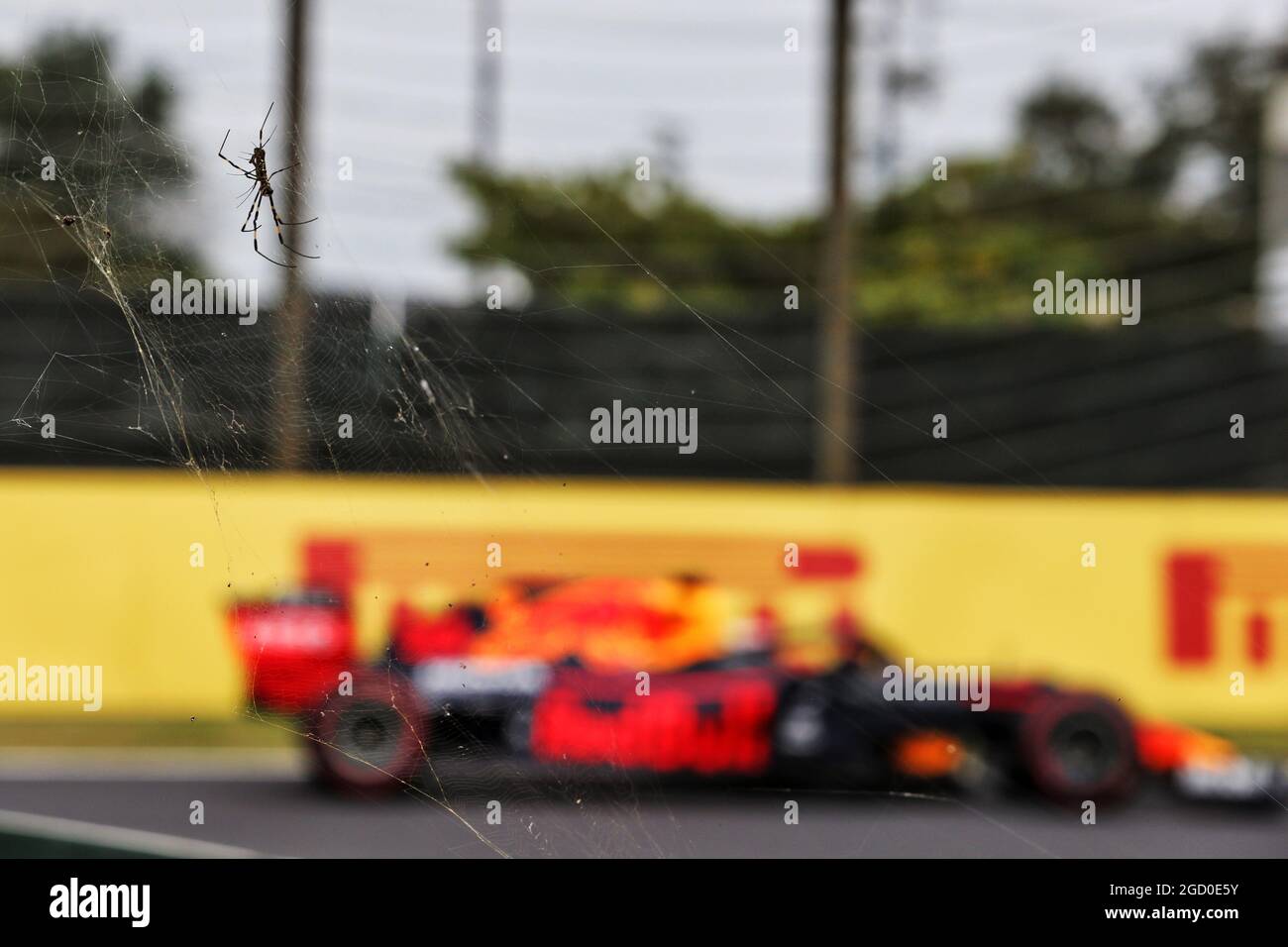 Red bull racing rb15 passing a spider hi-res stock photography and ...