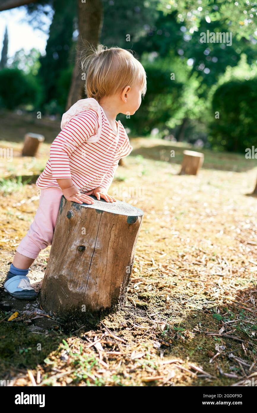 Kid stands in the yard, resting his hands on a tree stump. Back view ...