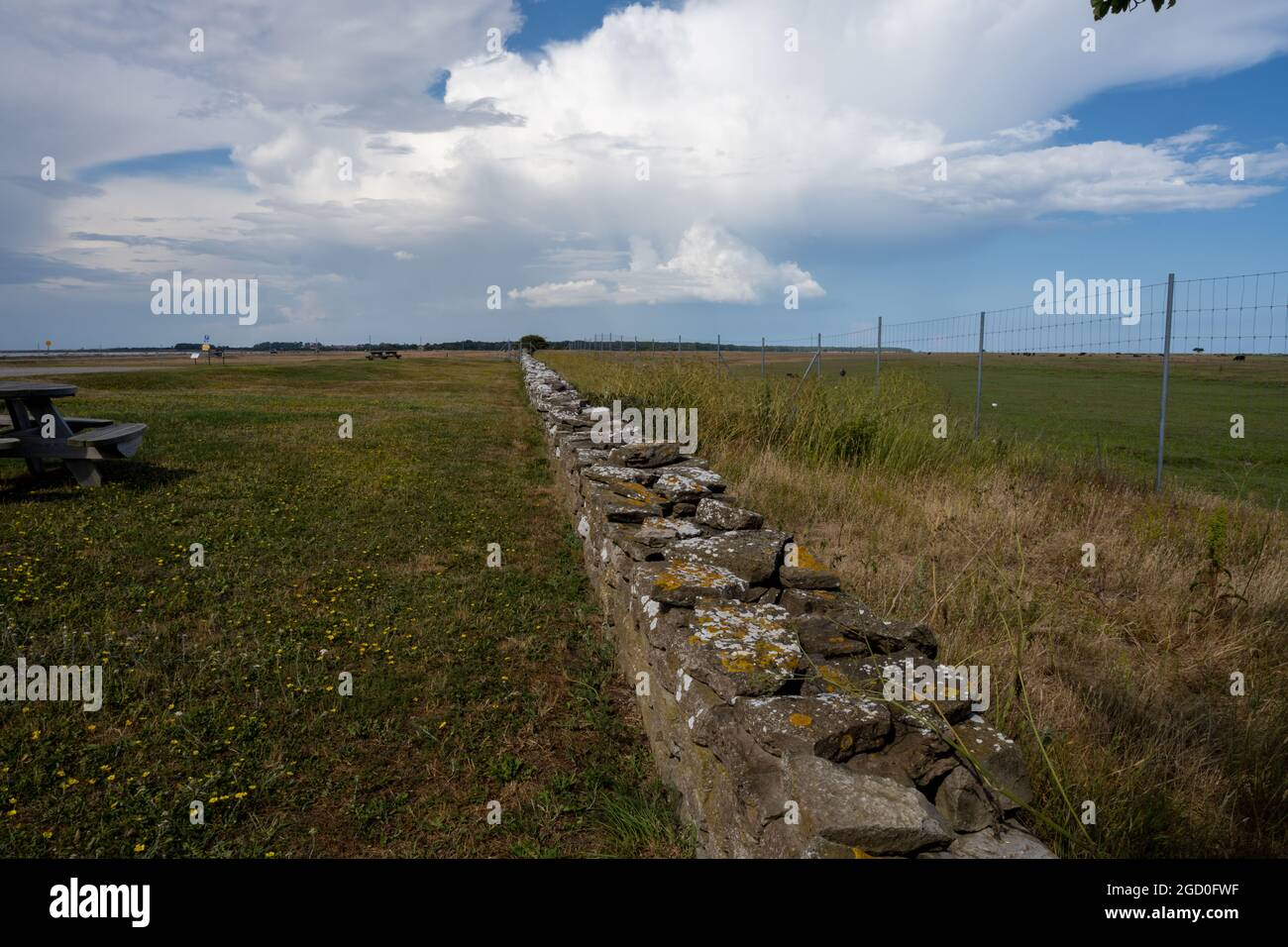 A limestone wall in a moor landscape. Picture from the Baltic Sea ...