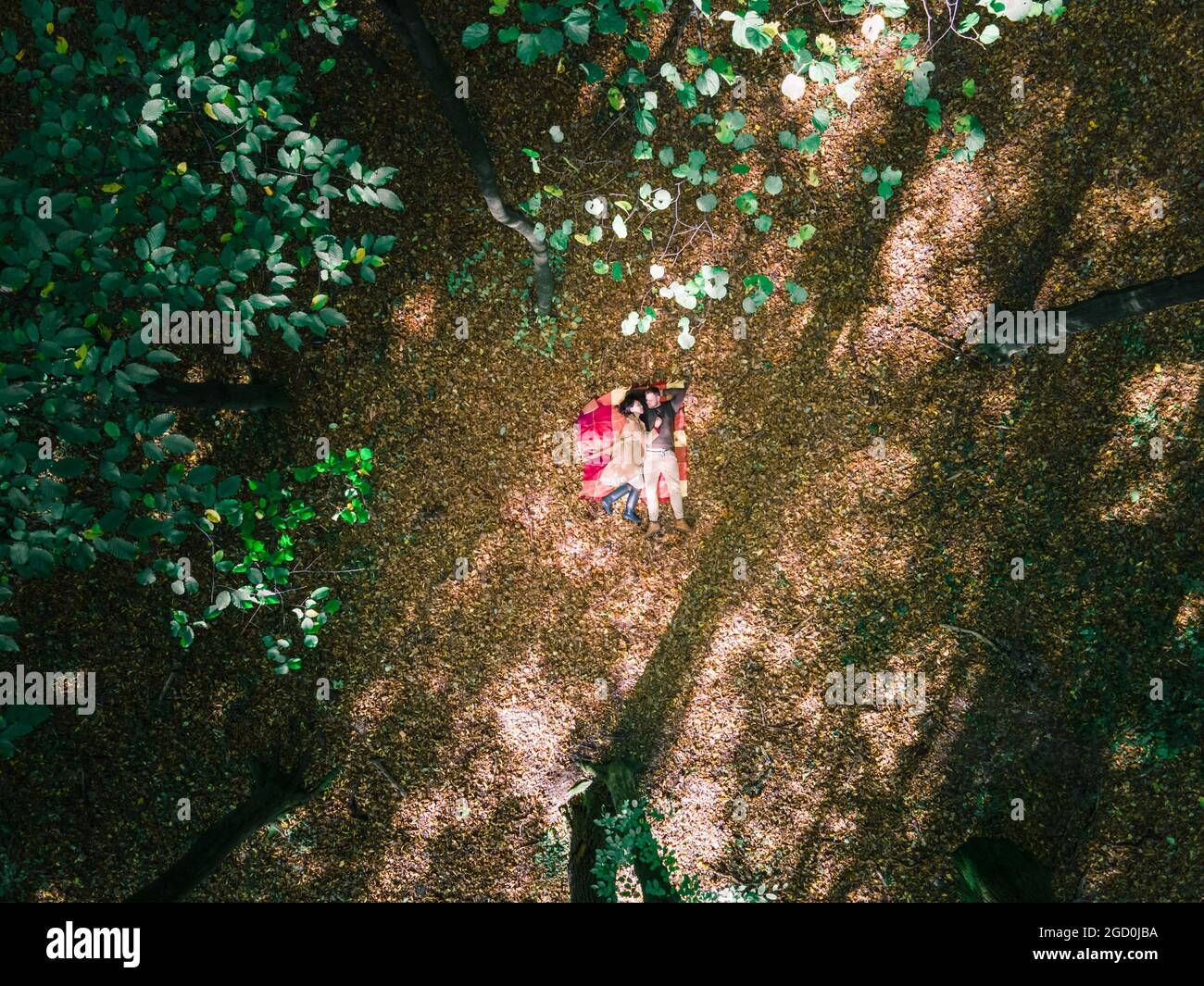 loving couple laying down on blanket in the middle of the forest ...