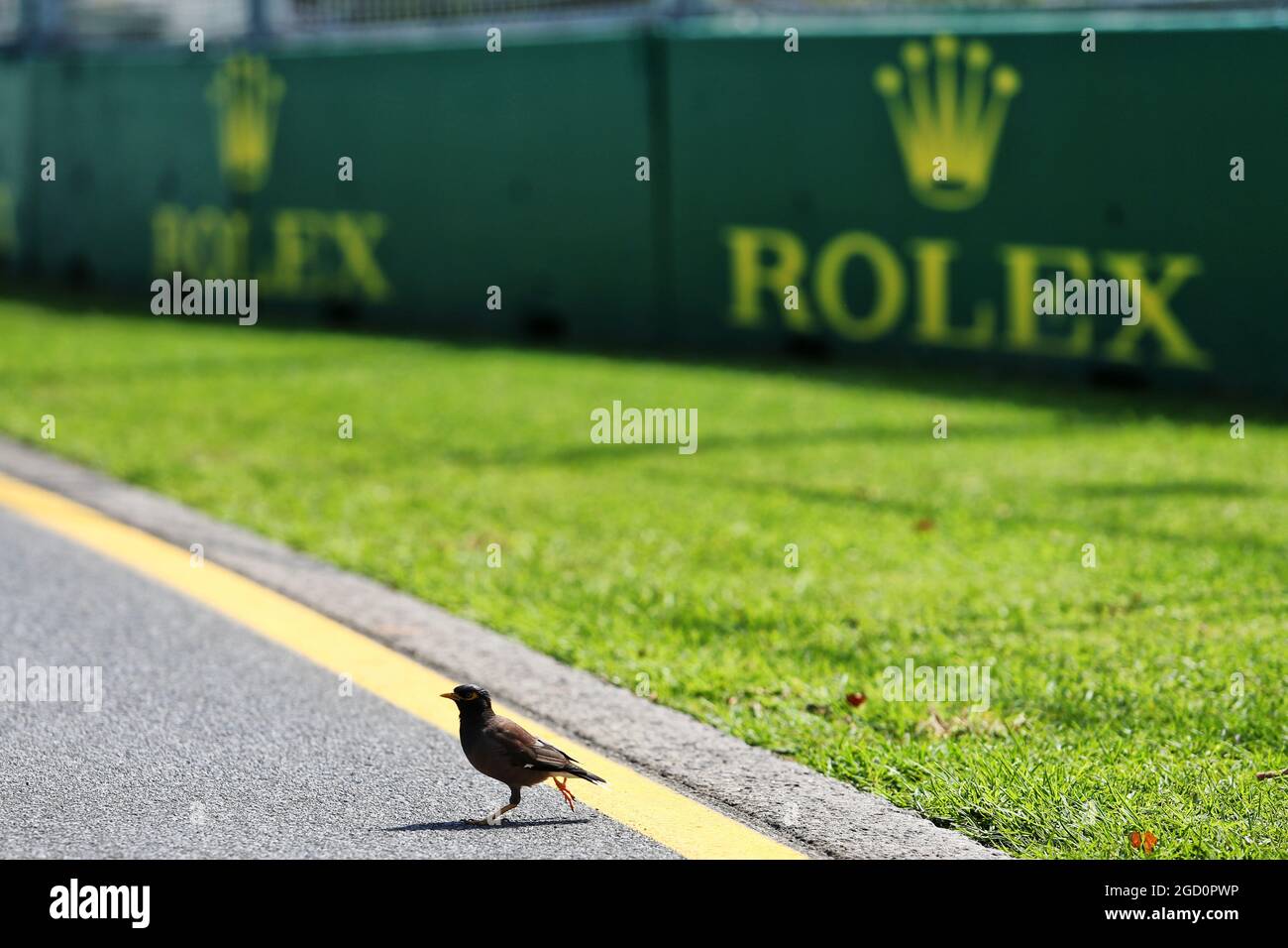 Melbourne f1 circuit track hi-res stock photography and images - Alamy