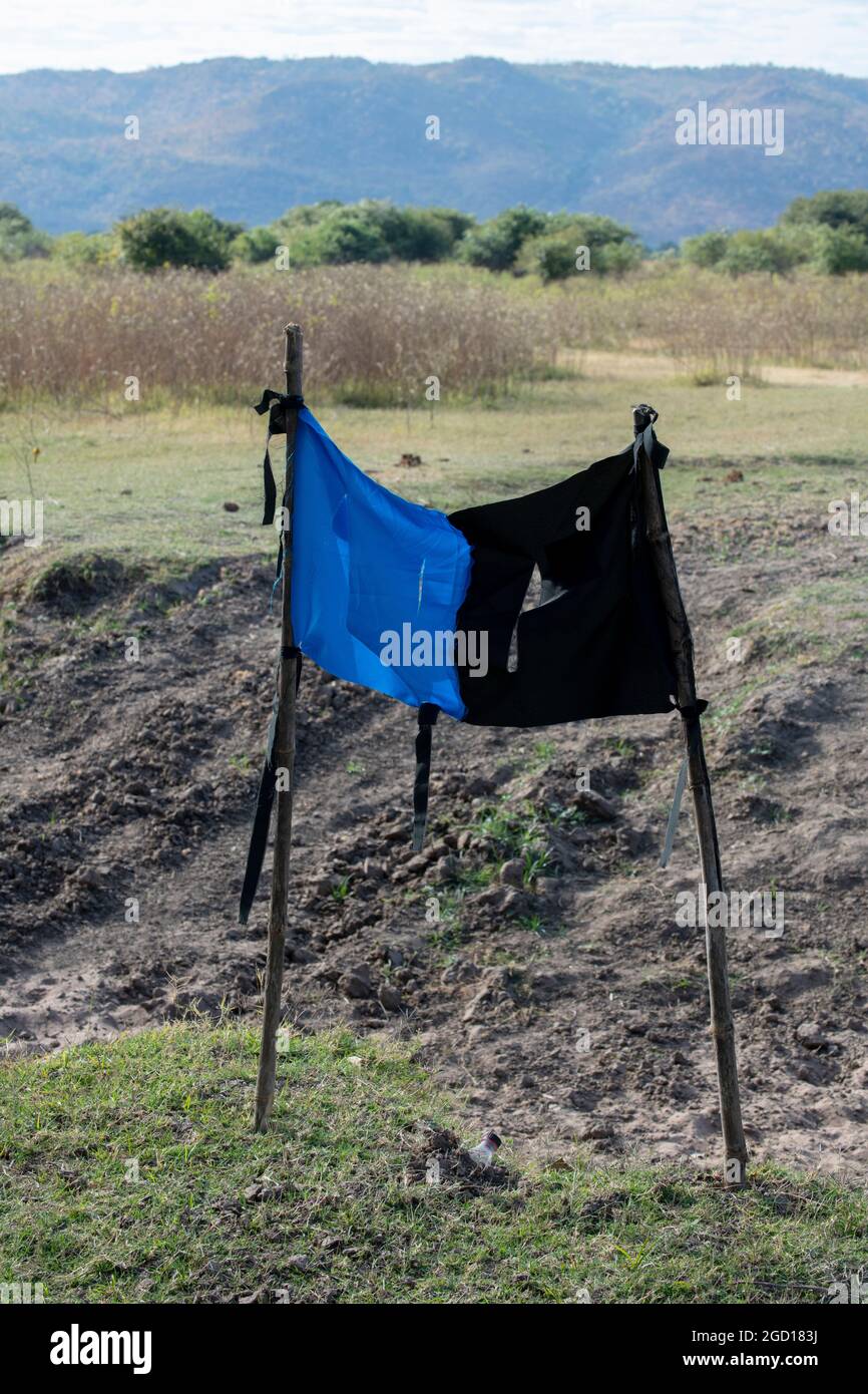 Zambia, South Luangwa. Tsetse fly traps and targets (insecticide ...