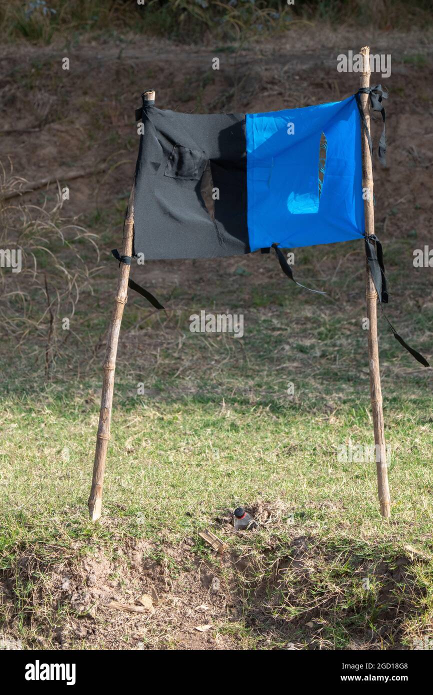 Tik tik flies hi-res stock photography and images - Alamy